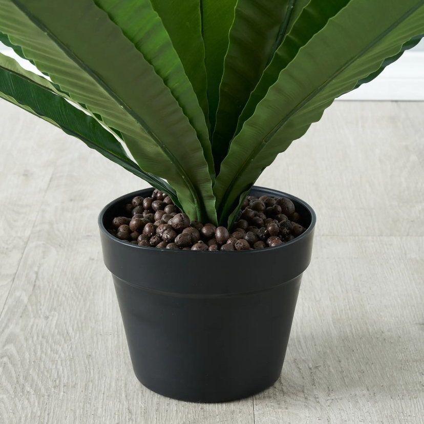 Birds Nest Fern Decorative Plant 55cm | Koala Living