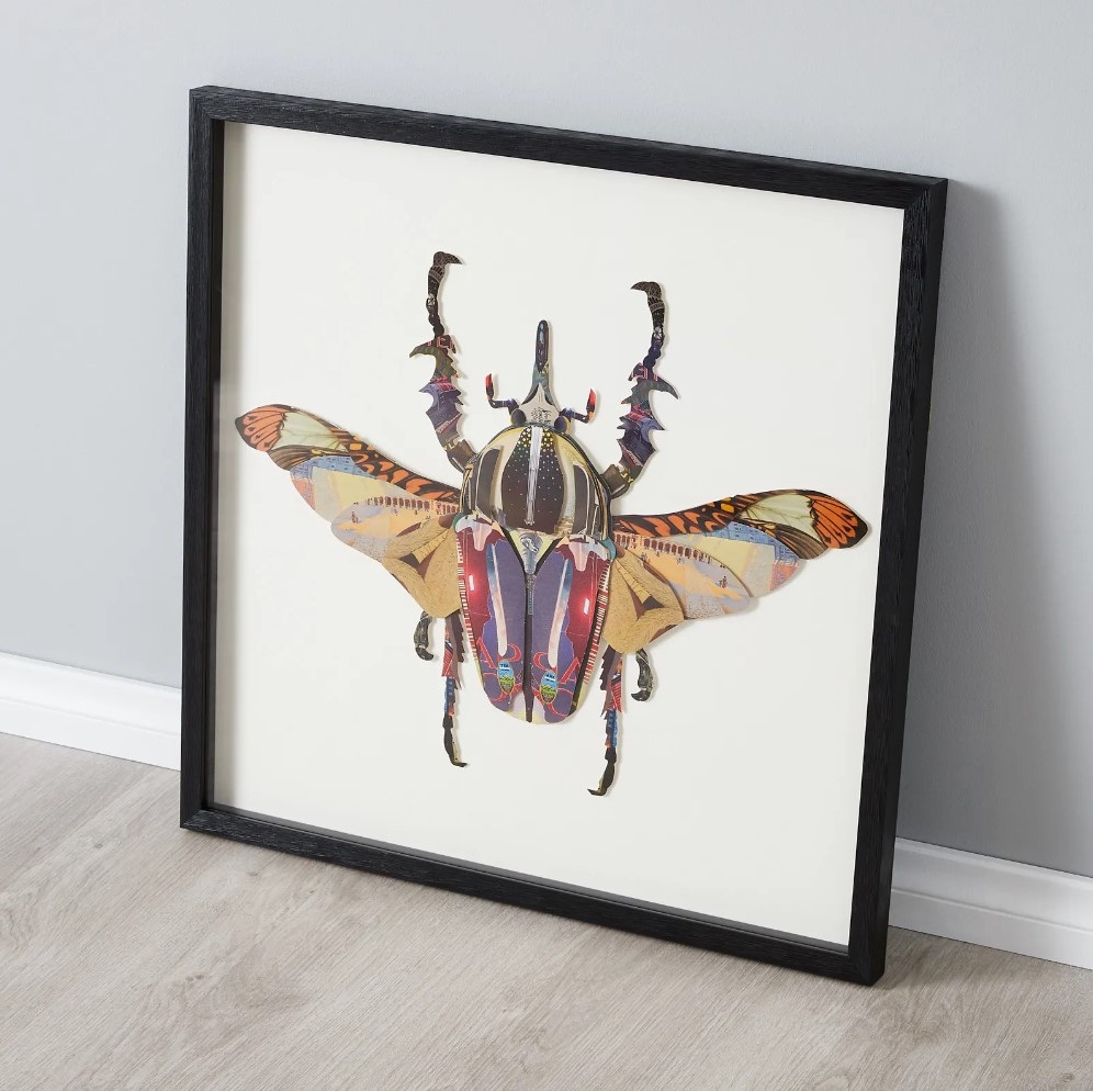 Rhino Beetle Framed Paper Collage | Koala Living