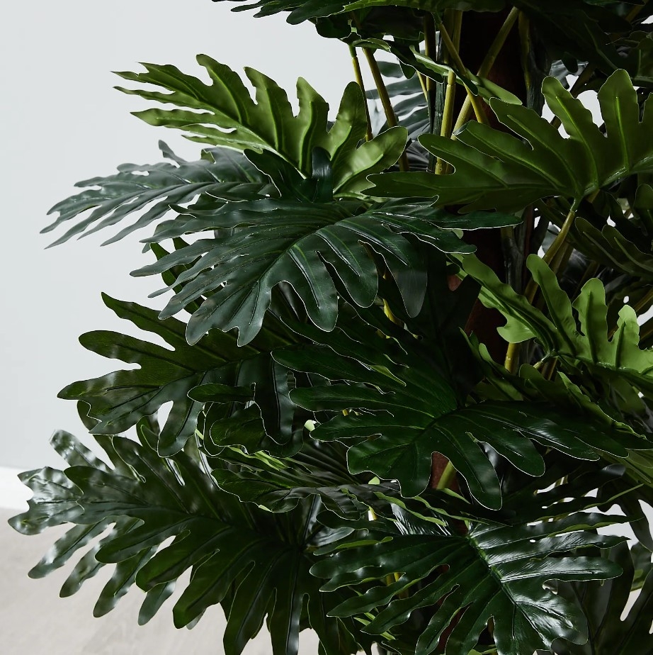 180cm Philodendron II Decorative Plant | Koala Living