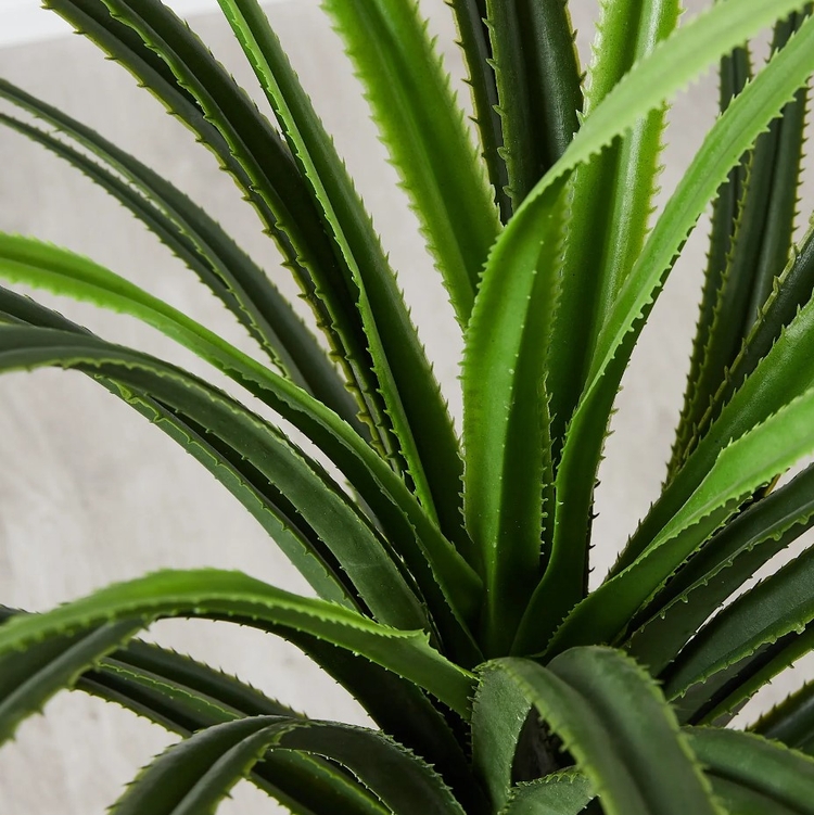 110cm Pandanus Decorative Plant With Pot | Koala Living