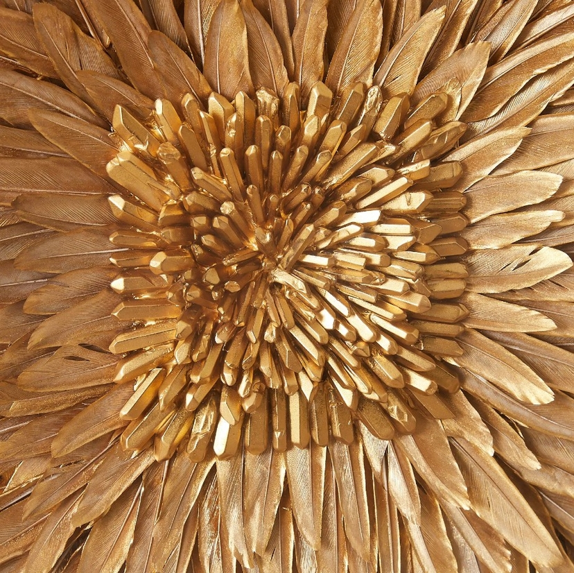 Feather Shadow Box with Golden Frame | Koala Living